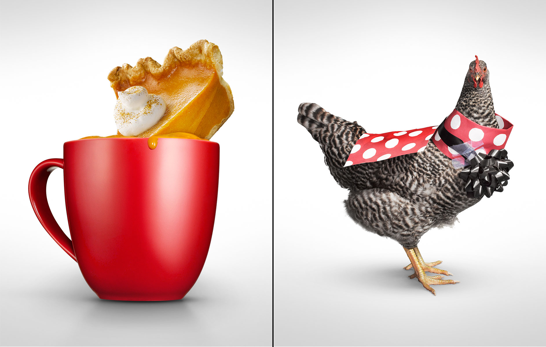 Clugston Photography